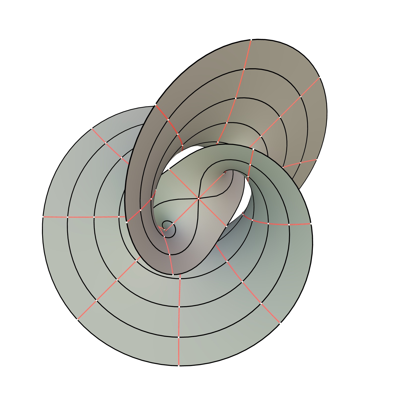 Winding Numbers – Minimal Surfaces