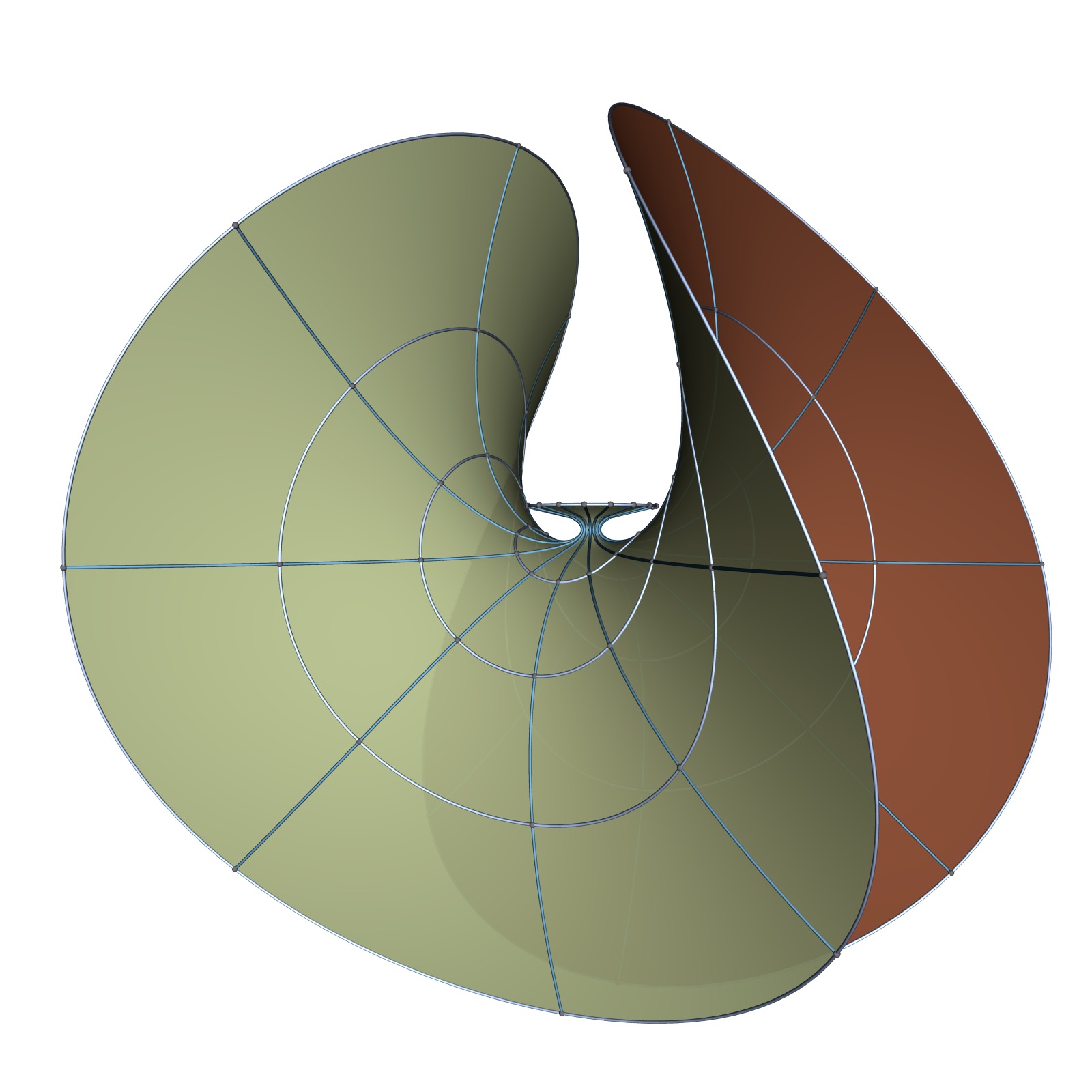 cat1enn1b – Minimal Surfaces