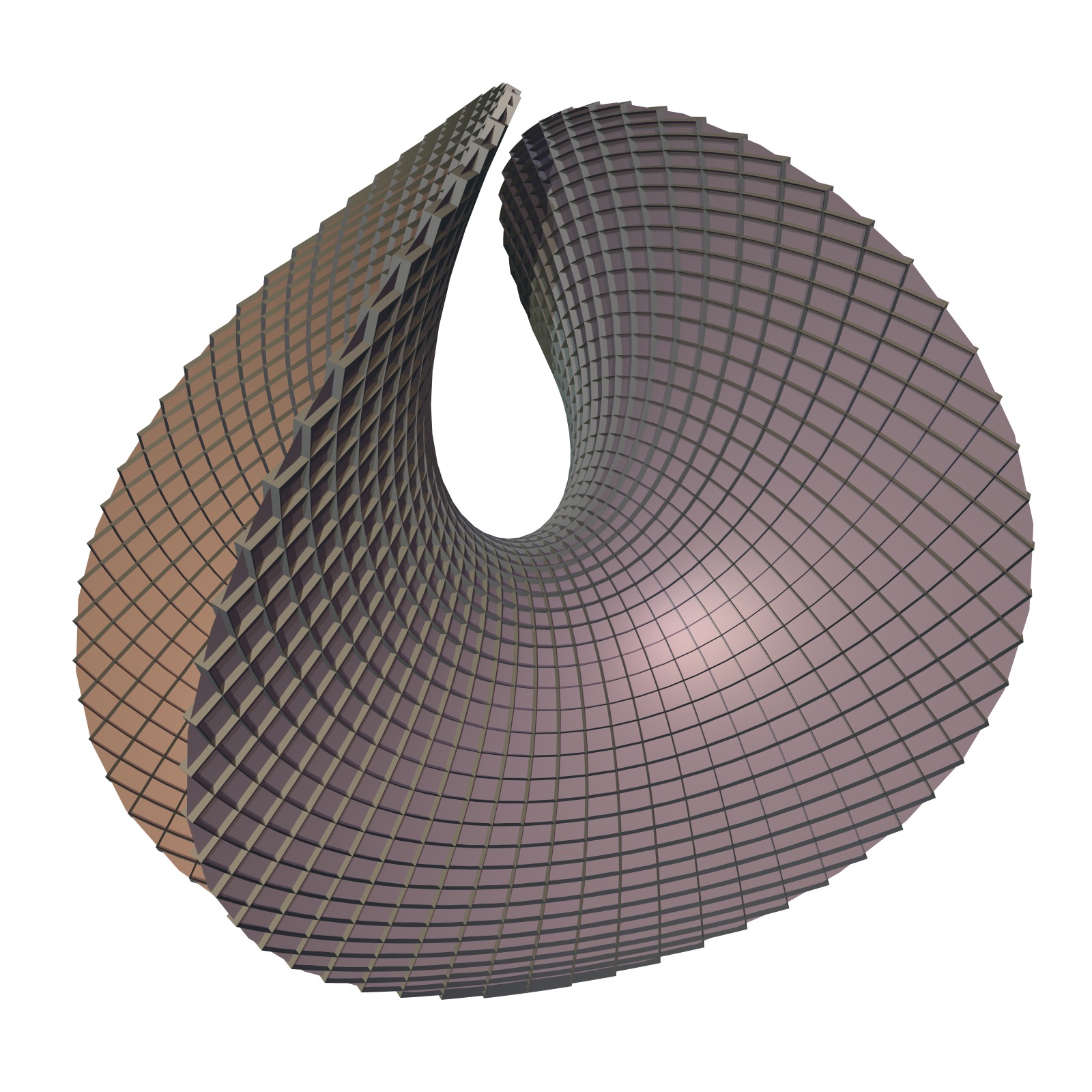 Enneper Surface – Minimal Surfaces