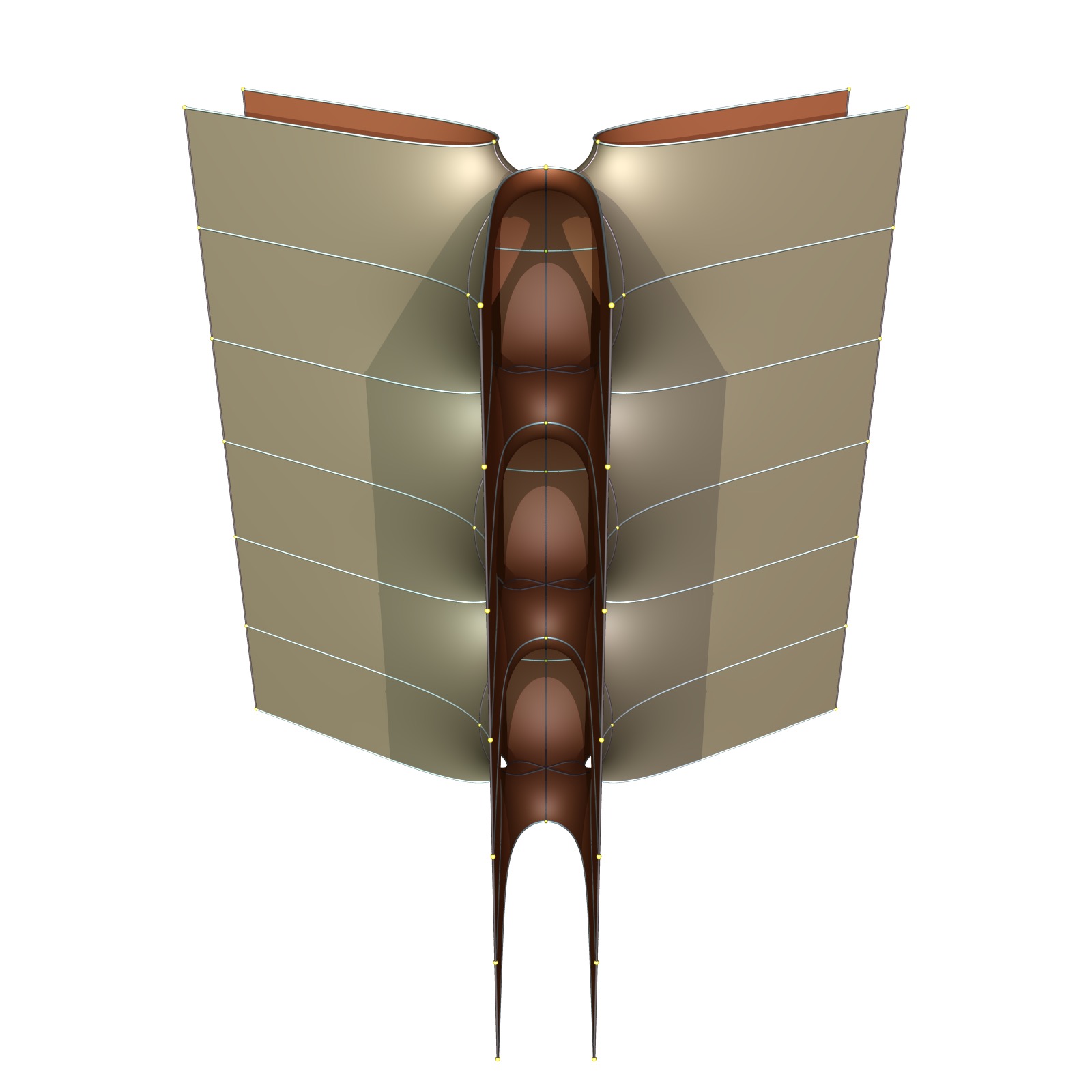 Symmetrized Scherk Surface – Minimal Surfaces