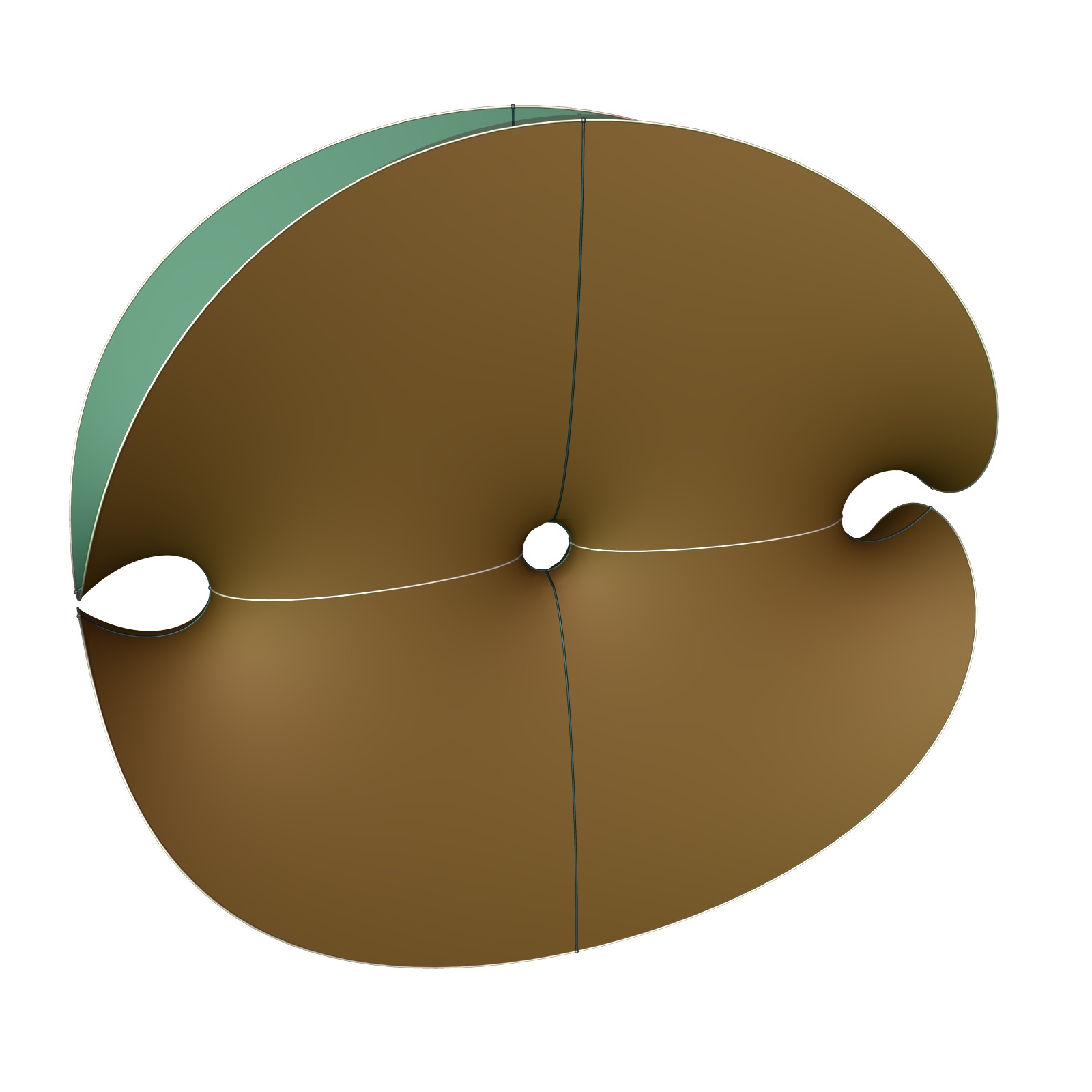 Torus with Two Enneper Ends – Minimal Surfaces