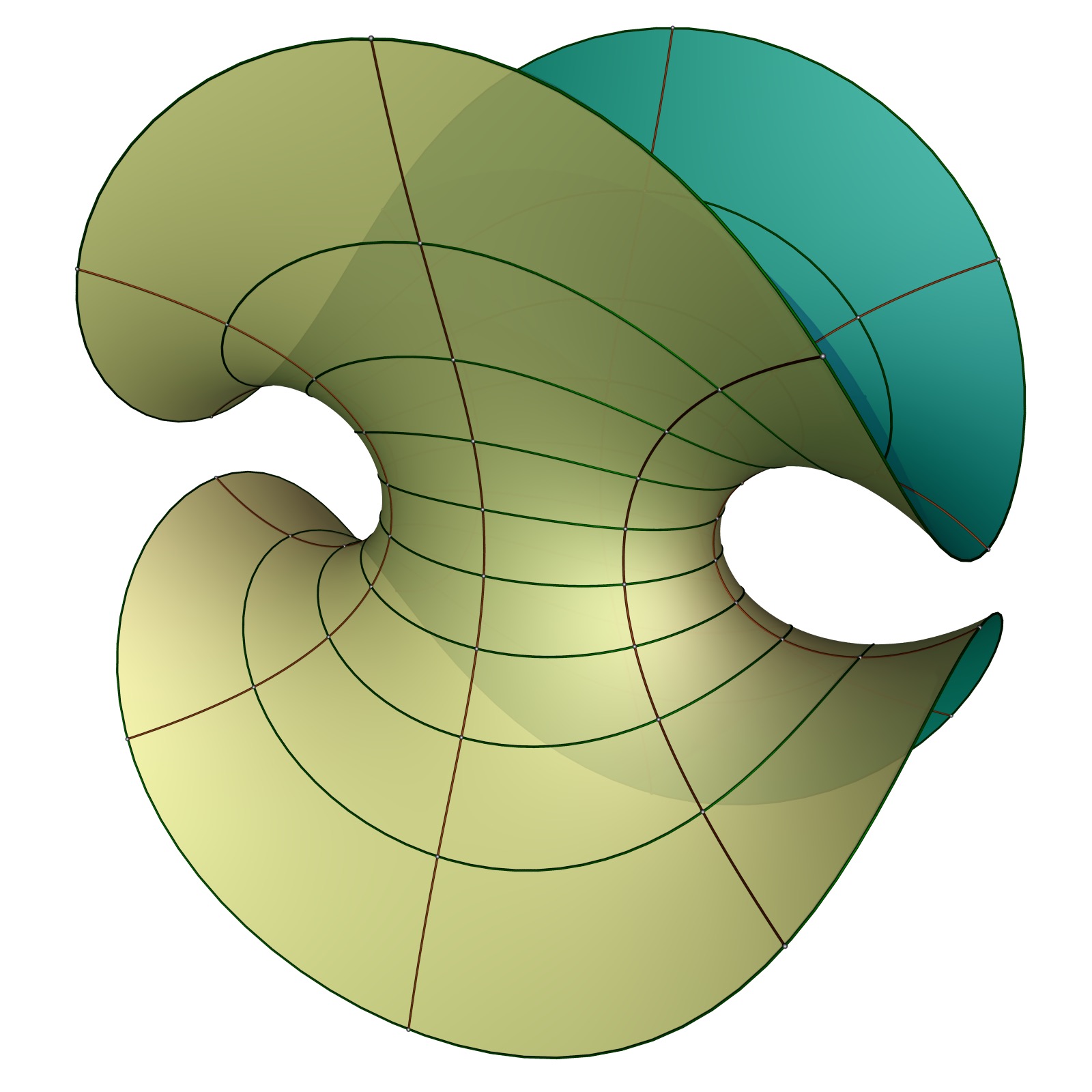 Double Enneper – Minimal Surfaces