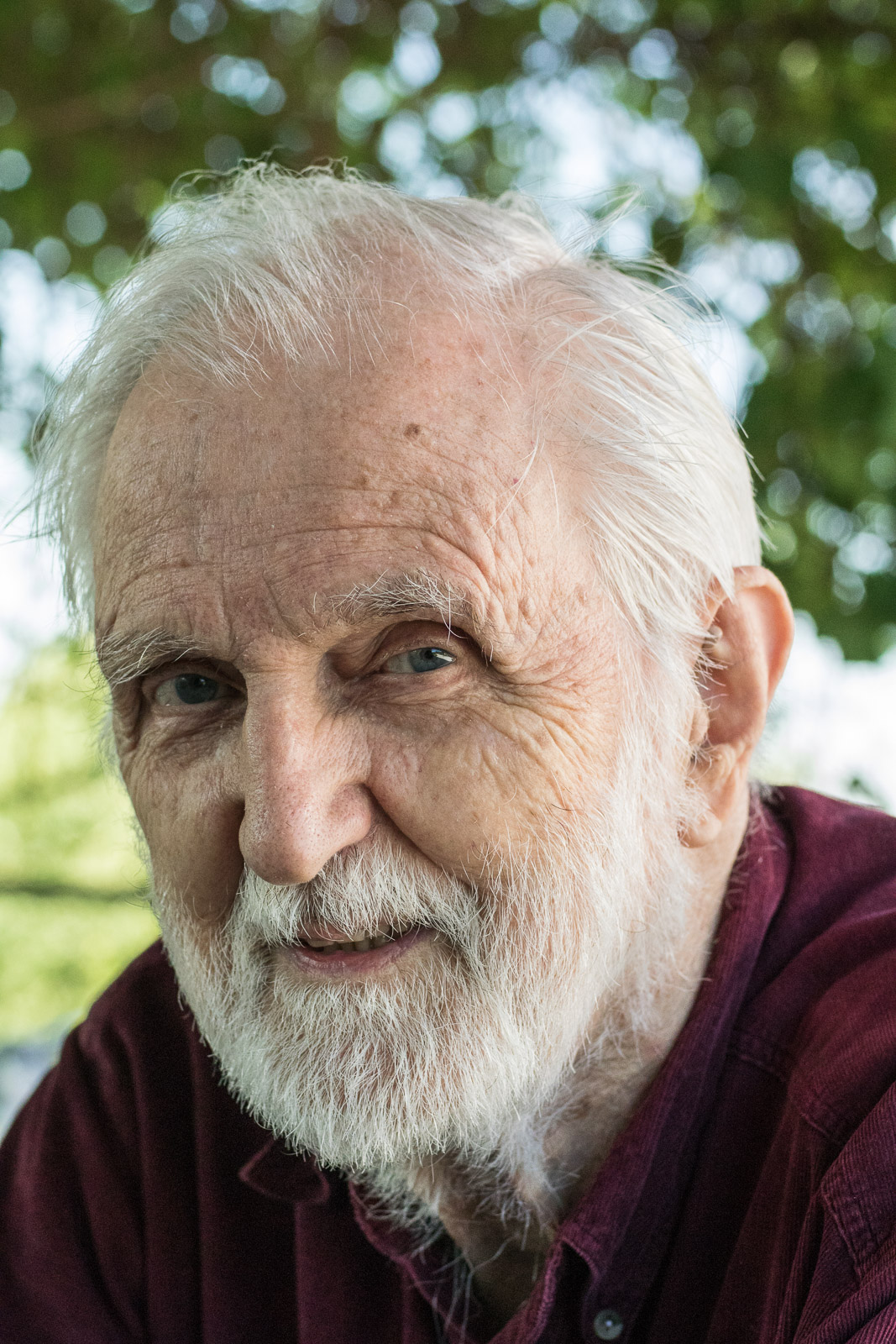 Alan Schoen – Minimal Surfaces