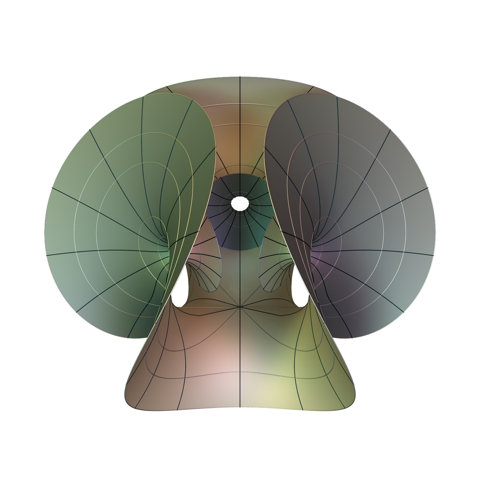 Enneper with n Catenoids – Minimal Surfaces