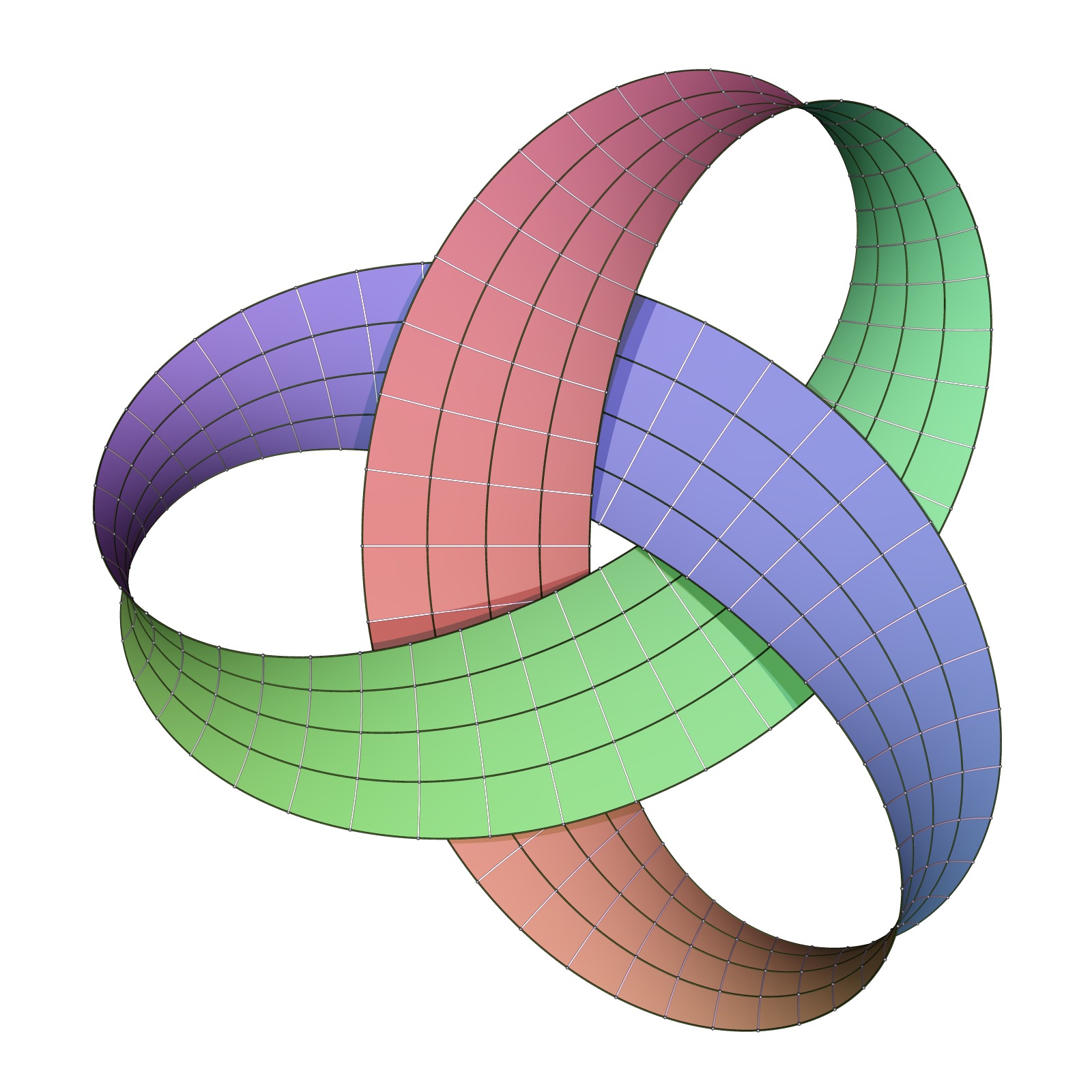 Trefoil Knot – Minimal Surfaces