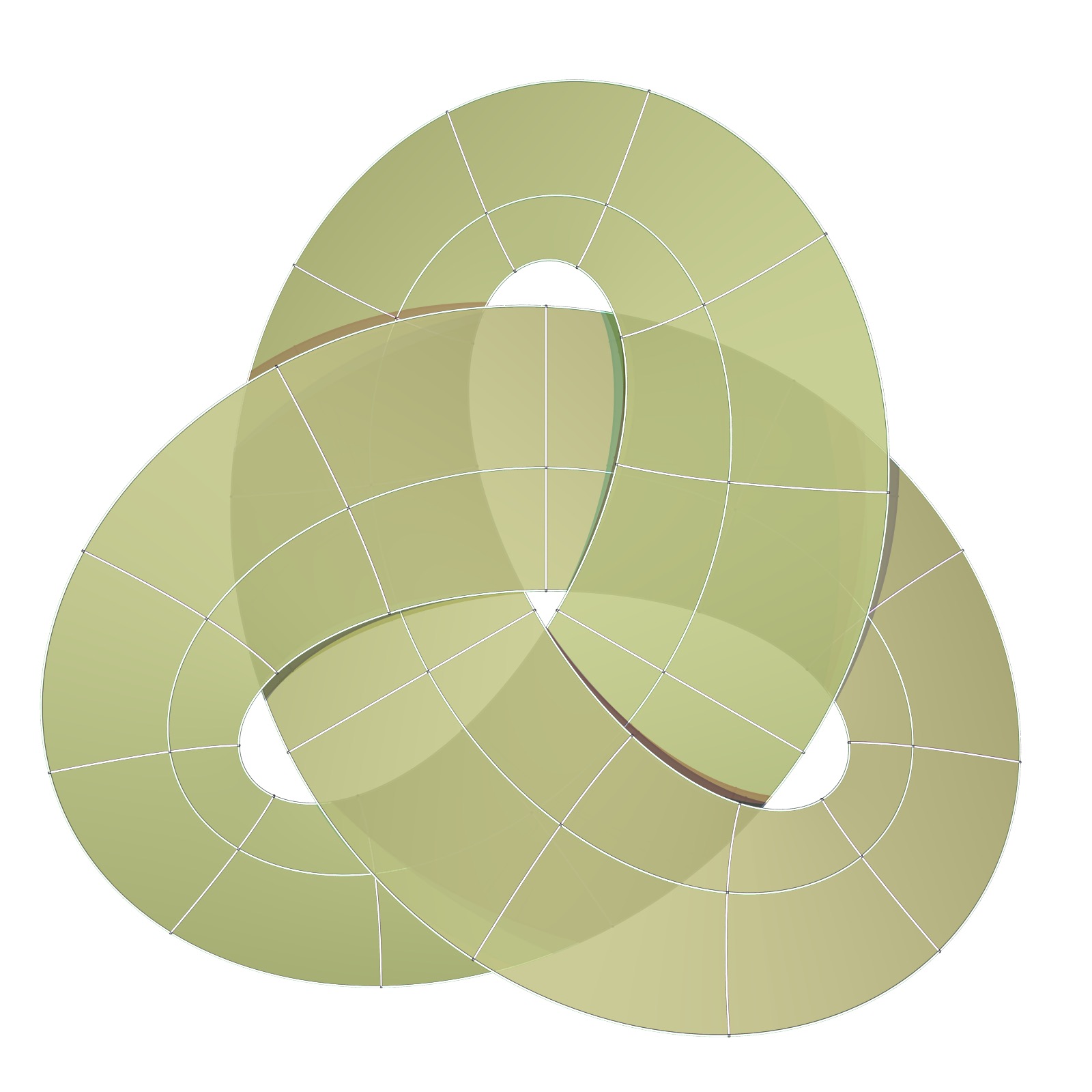 Trefoil Knot – Minimal Surfaces