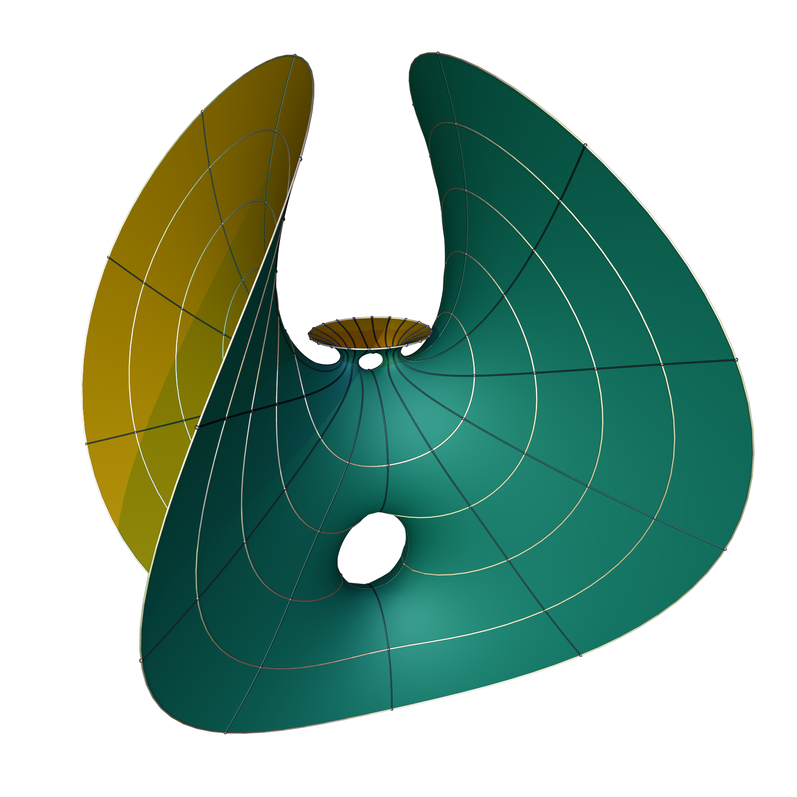Catenoid-Enneper Surfaces of Genus g – Minimal Surfaces